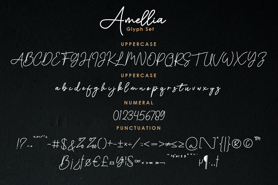 Amellia Handwritten Script, Fonts | GraphicRiver